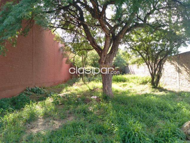 TERRENO DE 480M2 EN MRA A DOS CUADRAS DE LA RUTA TRANSCHACO #1614614 | Clasipar.com en Paraguay