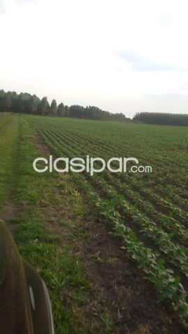 OFERTA PROPIEDAD AGRICOLA MECANIZADA ITAPUA GENERAL ARTIGAS #1928482 ...