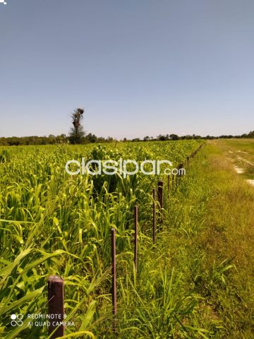 Estancia en venta #2138393 | Clasipar.com en Paraguay